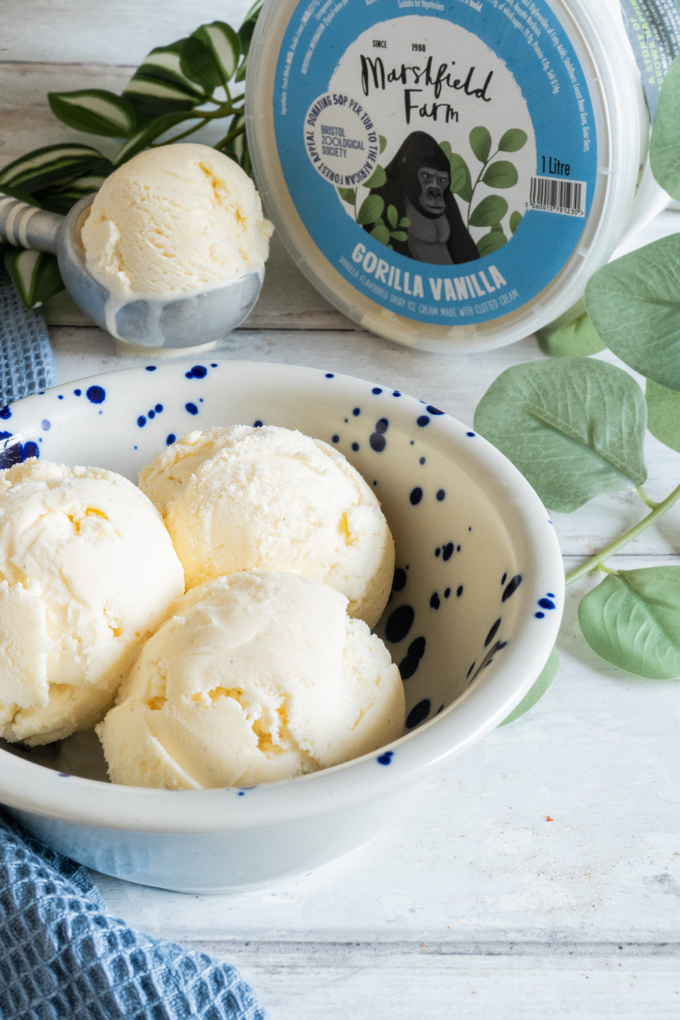 Gorilla Vanilla Clotted Cream – Marshfield Farm Ice Cream