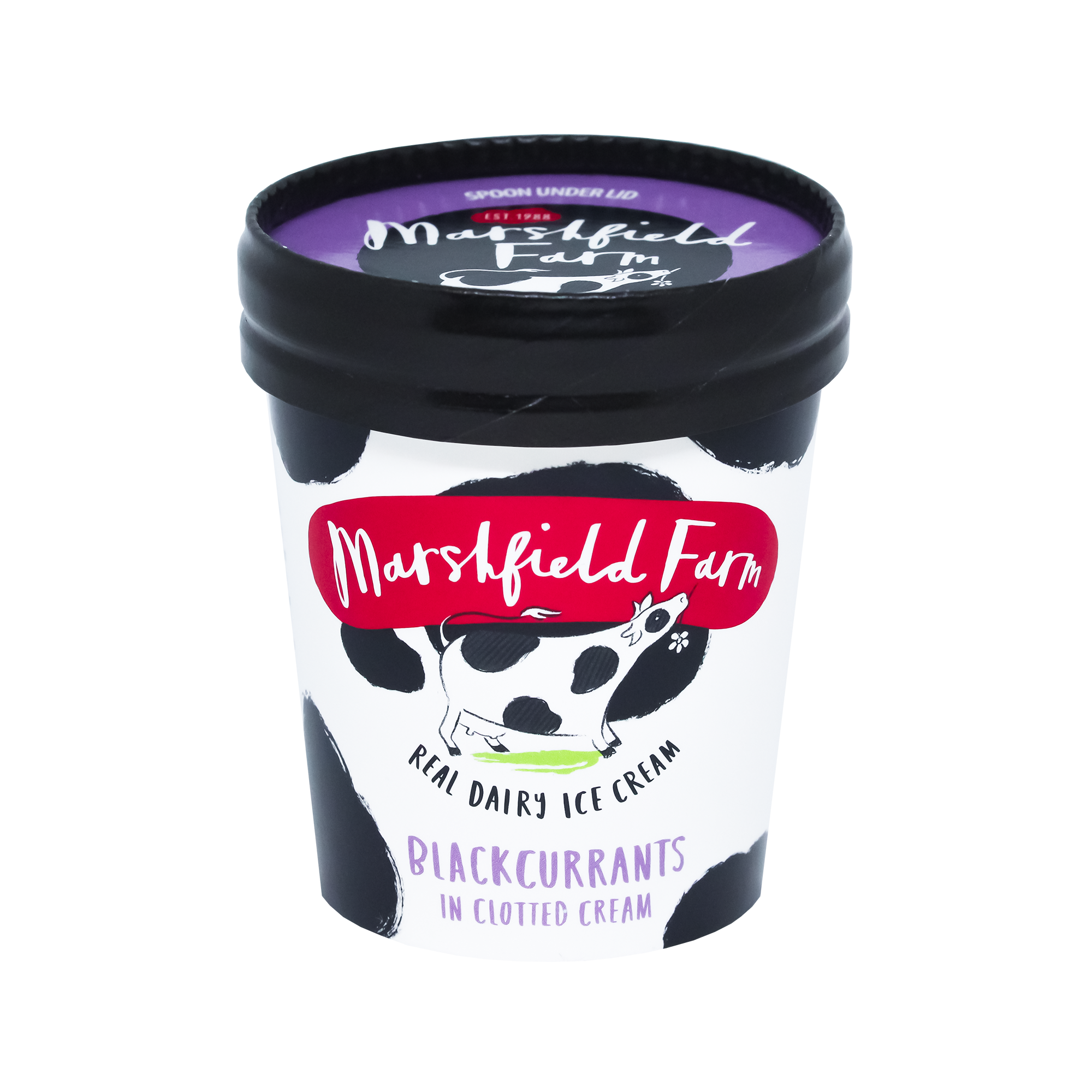 Blackcurrants in Clotted Cream Ice Cream – Marshfield Farm Ice Cream