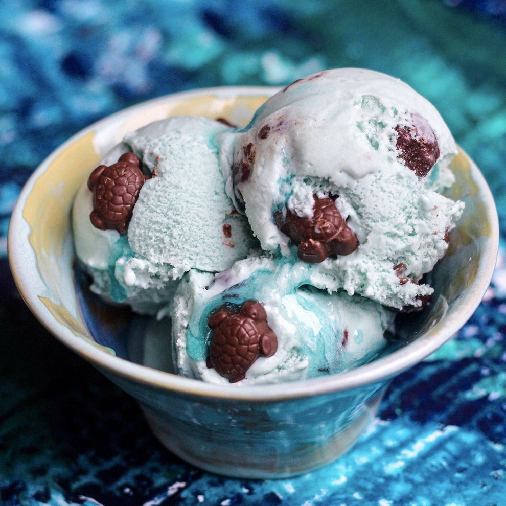 Under The Sea Ice Cream – Marshfield Farm Ice Cream